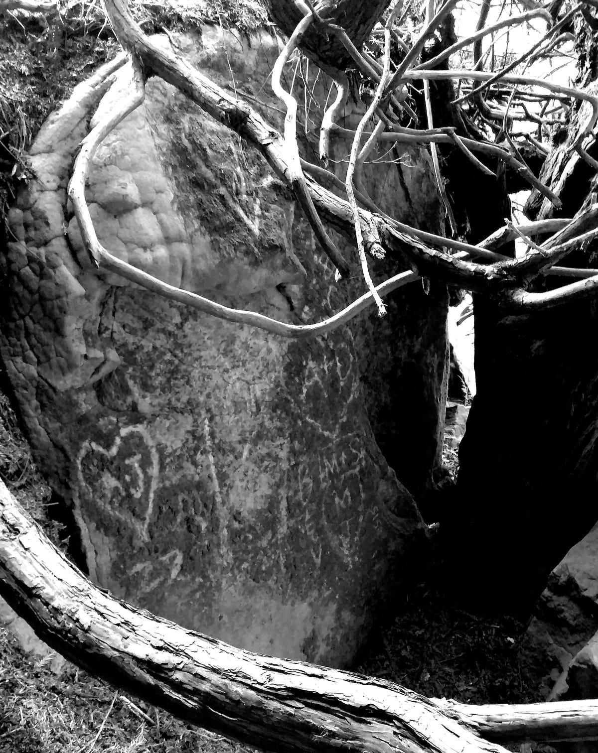 Hidden Bower. In a hidden cypress bower on the bank… | by Christopher ...