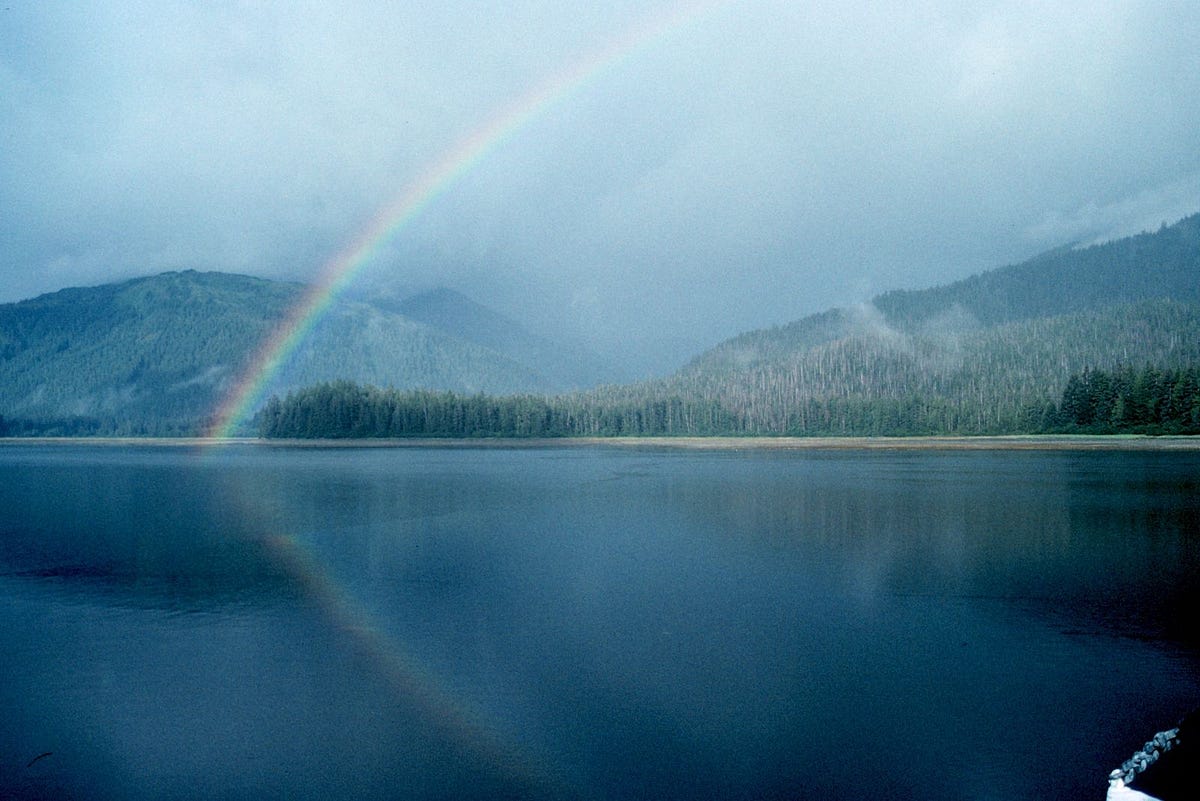 Why “understanding nature” is tricky — and what it actually means | by ...