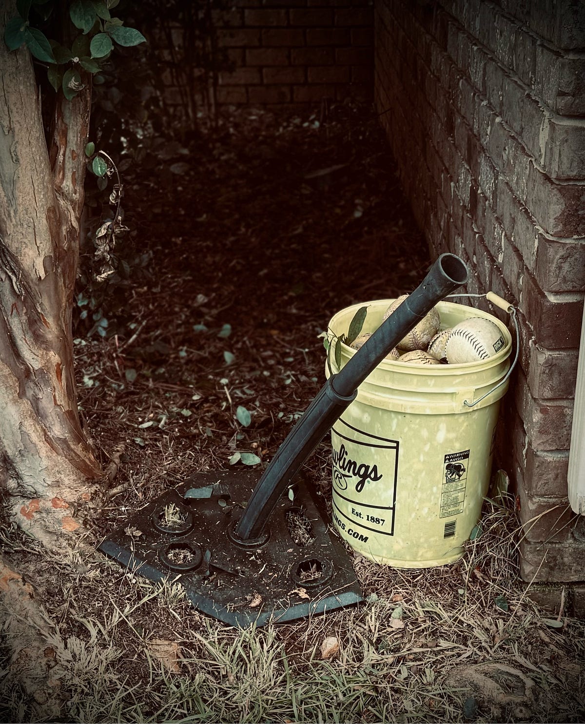 The Bucket Behind the Tree | by Casey Sears, NRP, FAWM, FEWM | Medium
