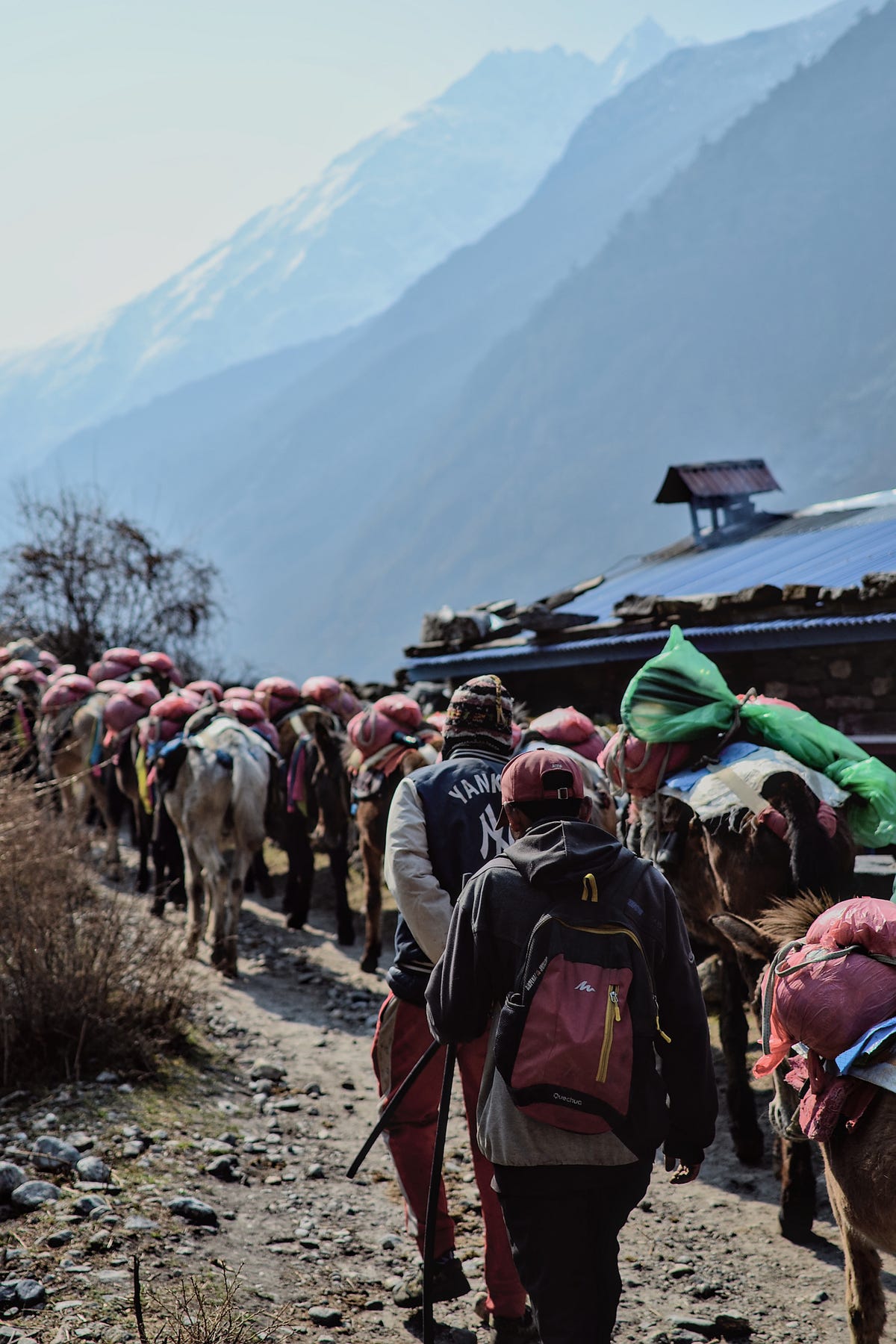 I Got Ditched While Hiking in Nepal by My Travel Companion, but at ...