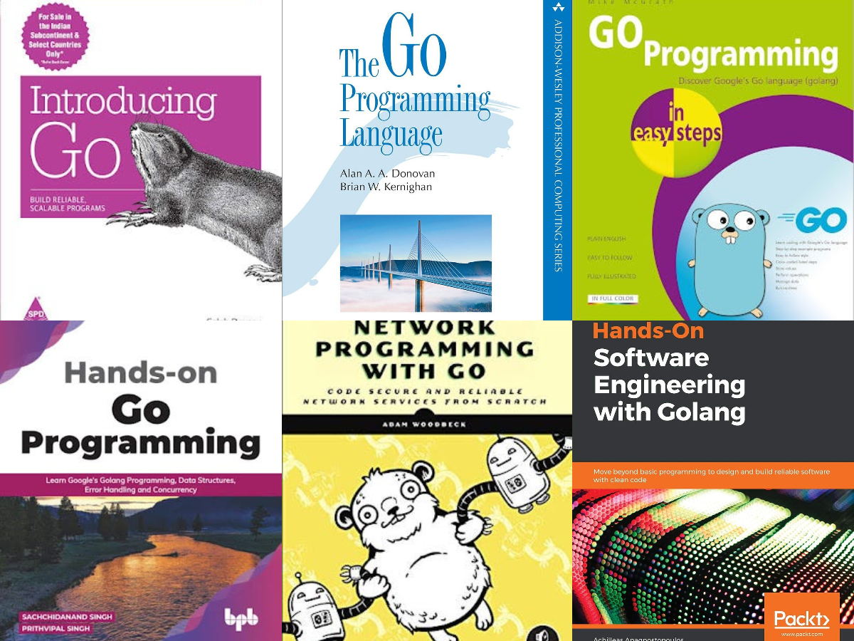 7 Best Books to Learn Golang Programming Language in 2025 | by javinpaul | Javarevisited | Aug ...
