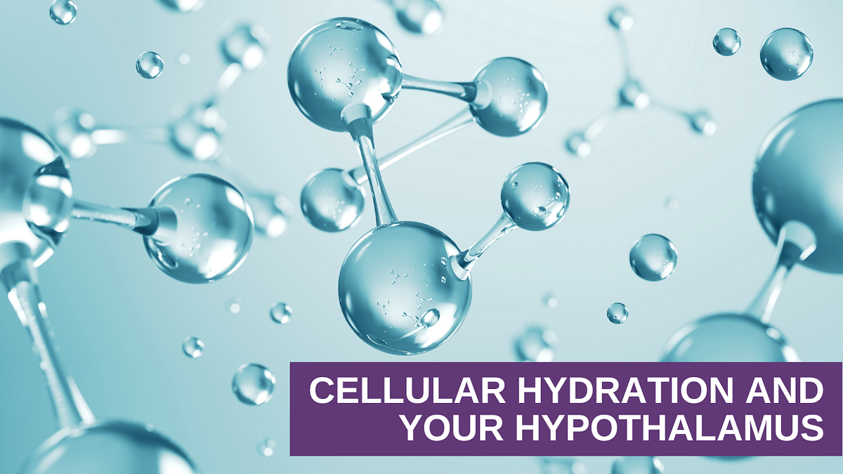 Cellular Hydration and Your Hypothalamus | by Deborah Maragopoulos FNP ...