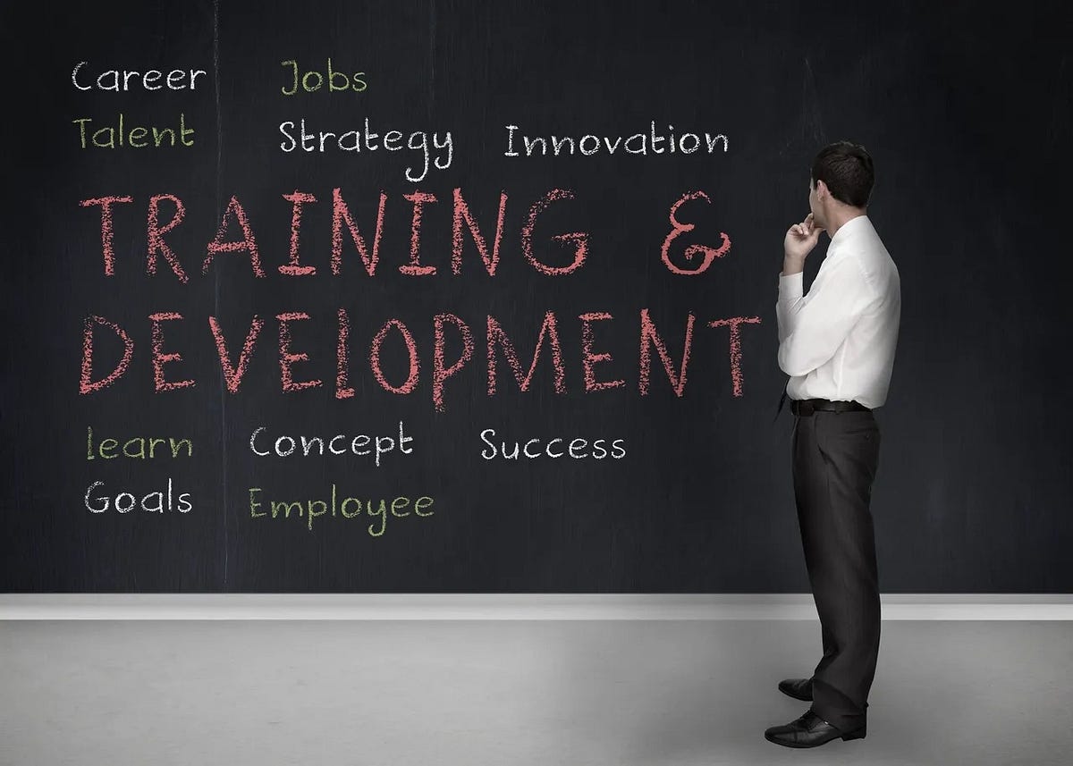 Training to Beat the Turnover Data | by Ben Linn | Medium