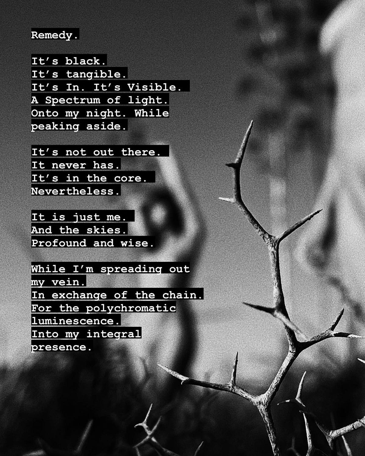 Remedy. - Refine the ordinary by hunting poetry - Medium