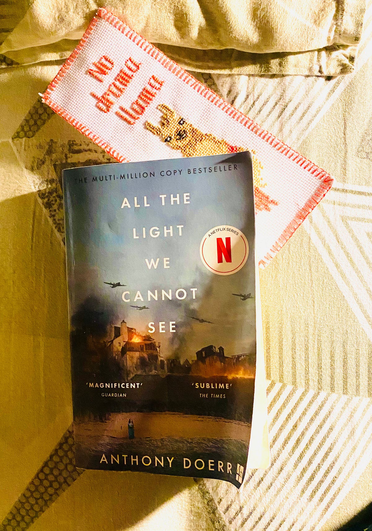 All the light we cannot see. By Anthony Doerr | by Mallika Menon | Medium