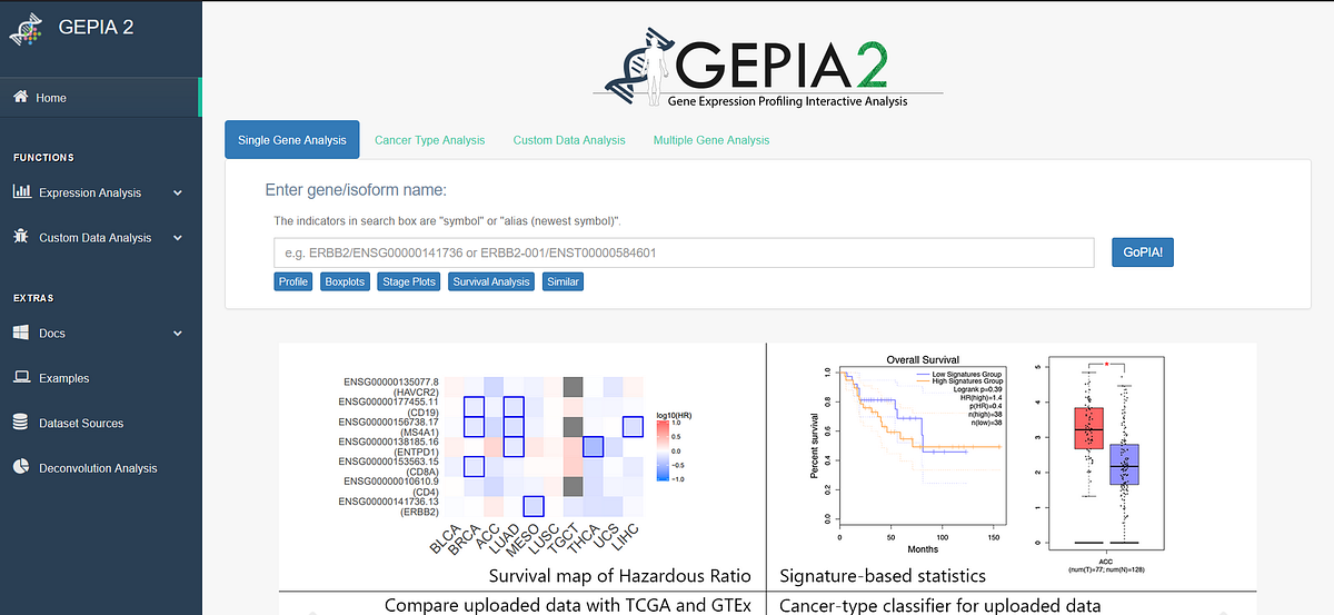 Bioinformatics #18 : GEPIA2 — A comprehensive cancer database analysis | by Michael Anekson | Medium