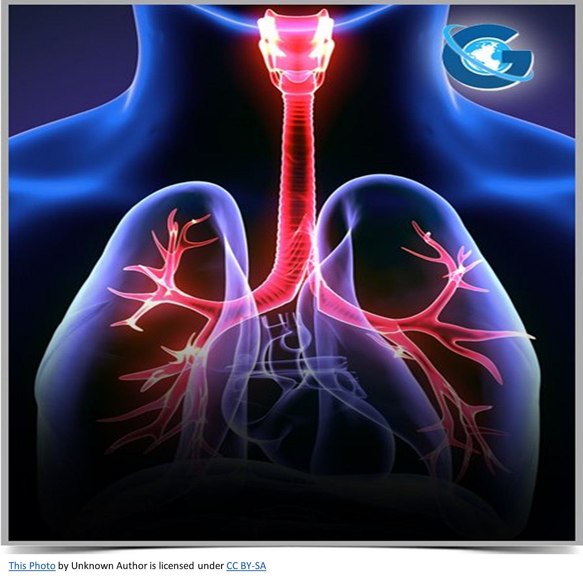 Respiratory Therpist. Author: Max Adams 8/18/2022 | by Max Adams | Medium