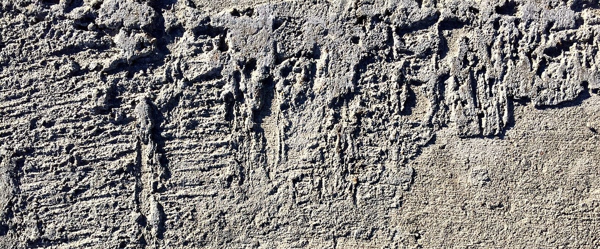 A Photo a Day 158. Rough patch | by The Solitary Cook | Medium