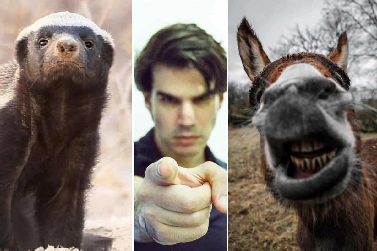 5 Words That Make You Sound Like Some Kind Of An Animal | by Linda ...