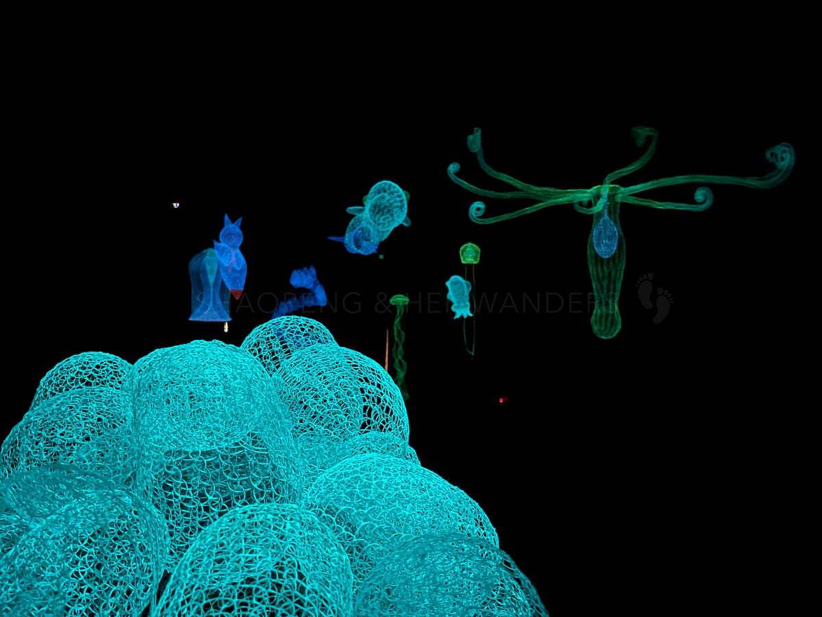 ART EXHIBITION | Diving into the Deep Sea and Wander Through ...