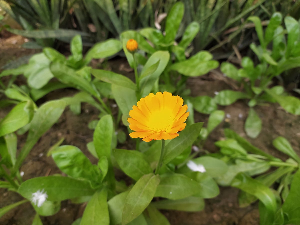 Remain patient, and good things will come your way. | by Rupal | Write ...