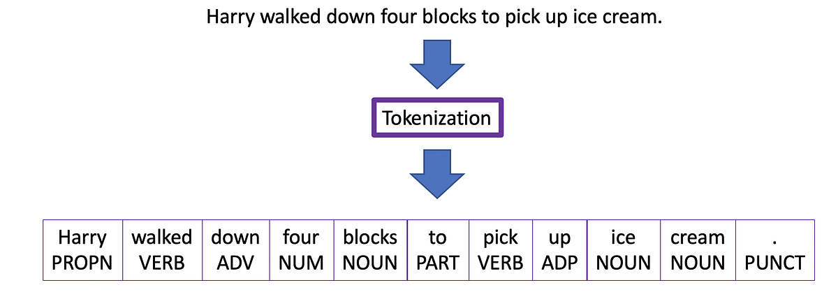 Tokenization in Natural Language Processing | by Mohammad Derakhshan ...