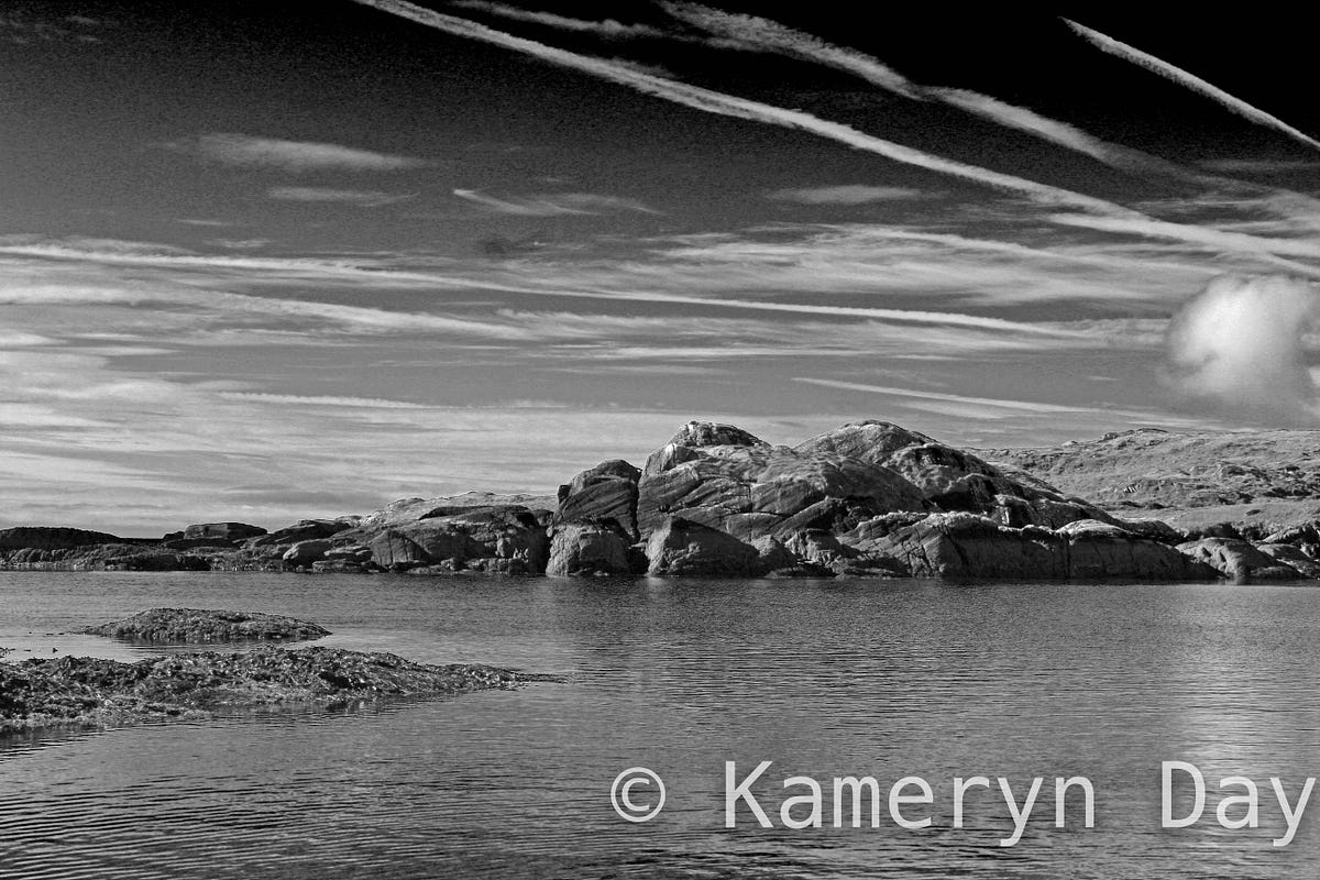 Now I Am Free. A metaphorical look inside the mind of… | by Kameryn Day ...