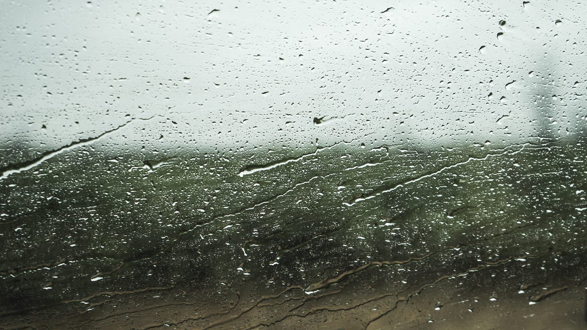 Why Petrichor Smells so Damn Good | by Kendall Hill | Medium