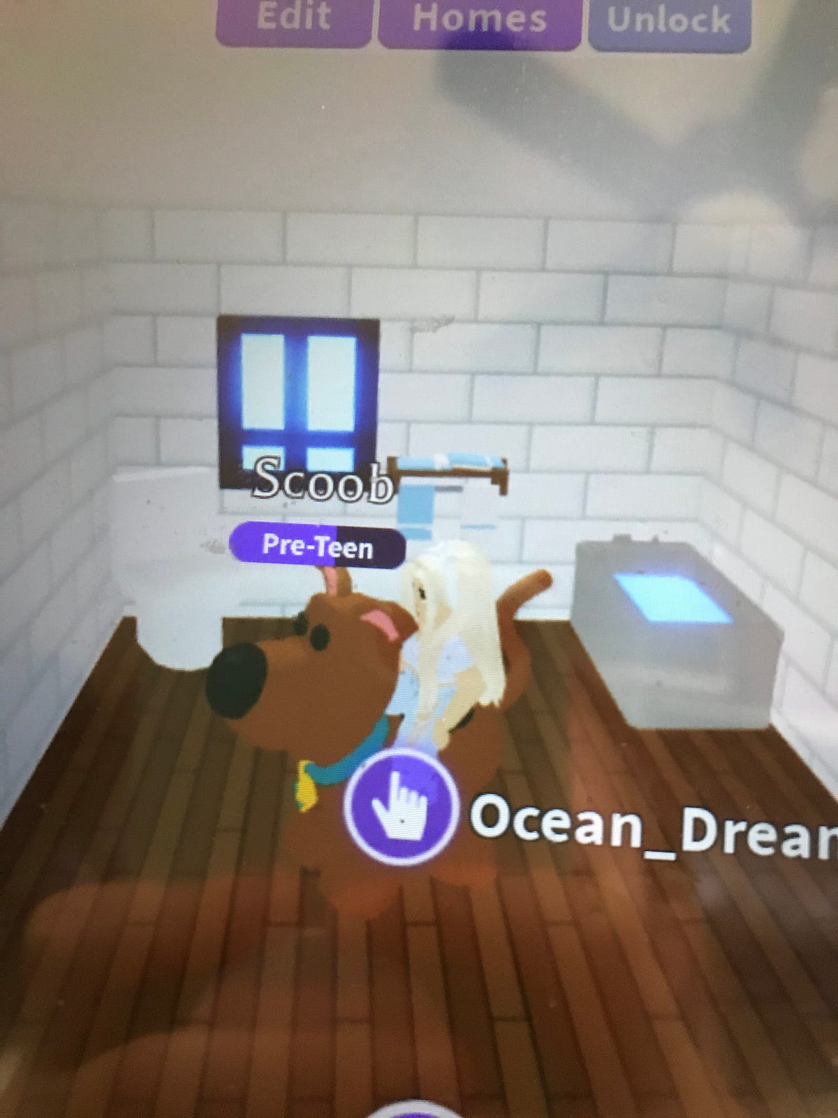 Here is me at the Scoob update on Adopt Me. It was a really fun update ...