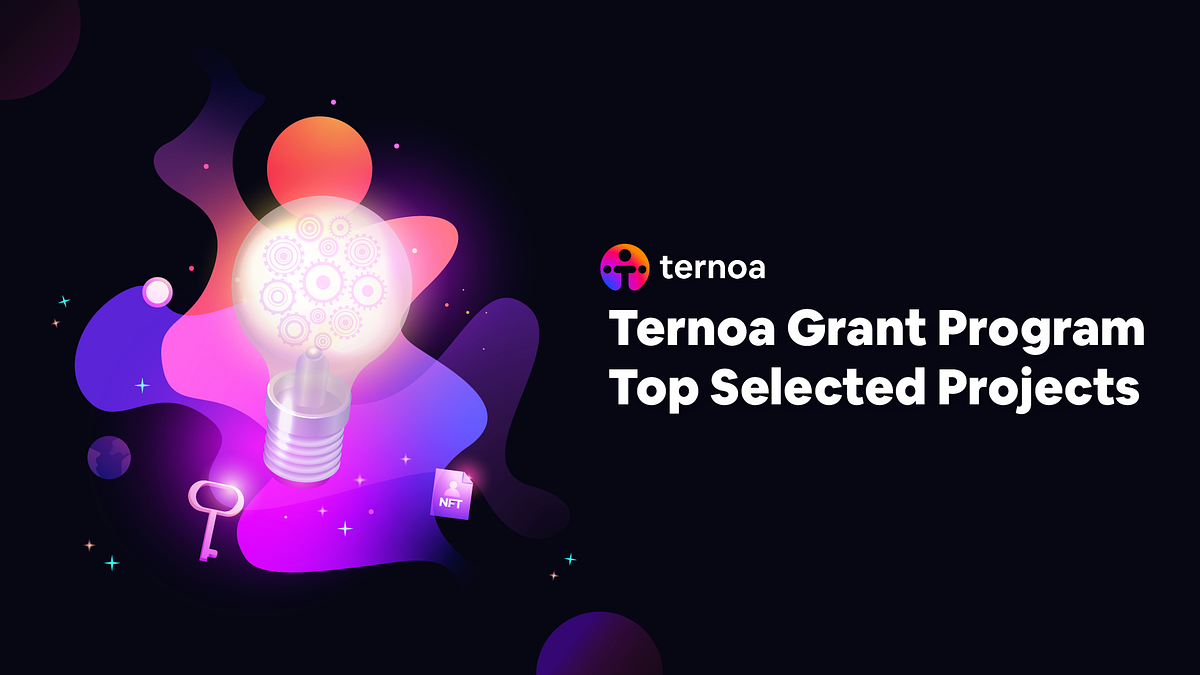 The Ternoa Grant Program: 3 projects in the running | Ternoa
