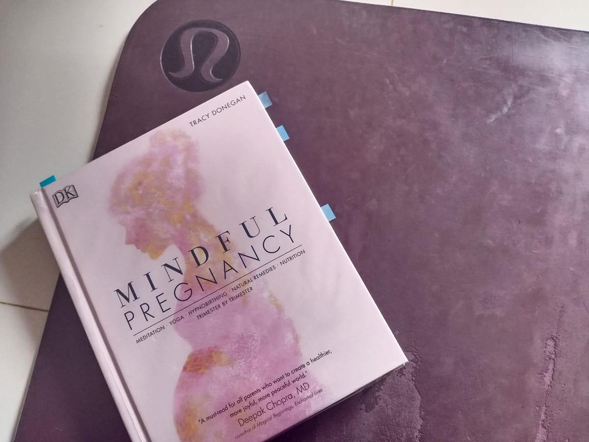 “Mindful Pregnancy”. adalah buku kedua saya tentang… | by Gabrielle A Abdhika | Medium
