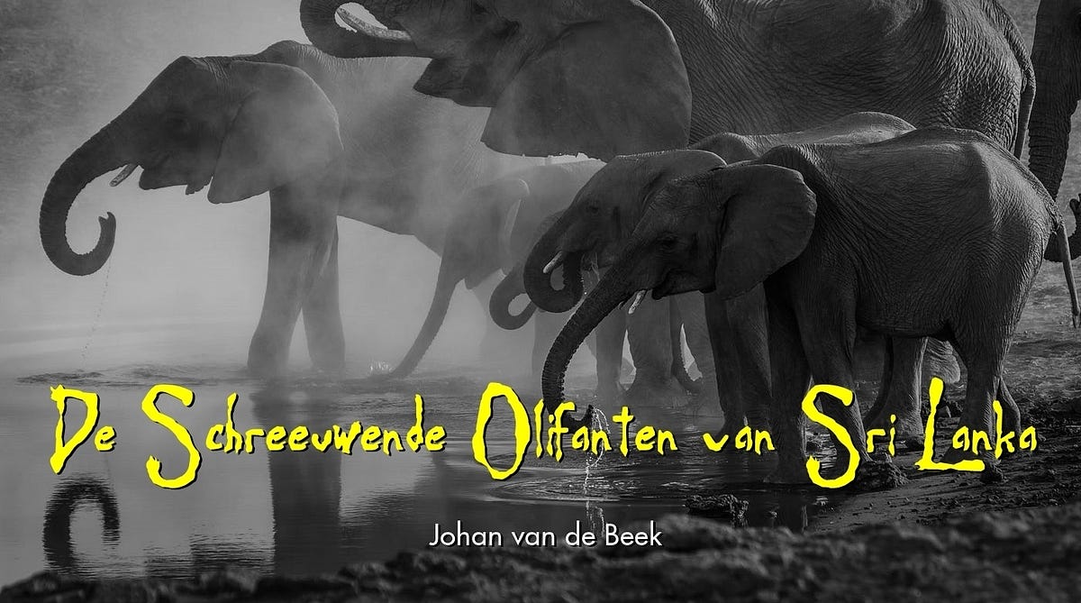 Een viering der onwetendheid. Over de dood van expertise en het… | by ...