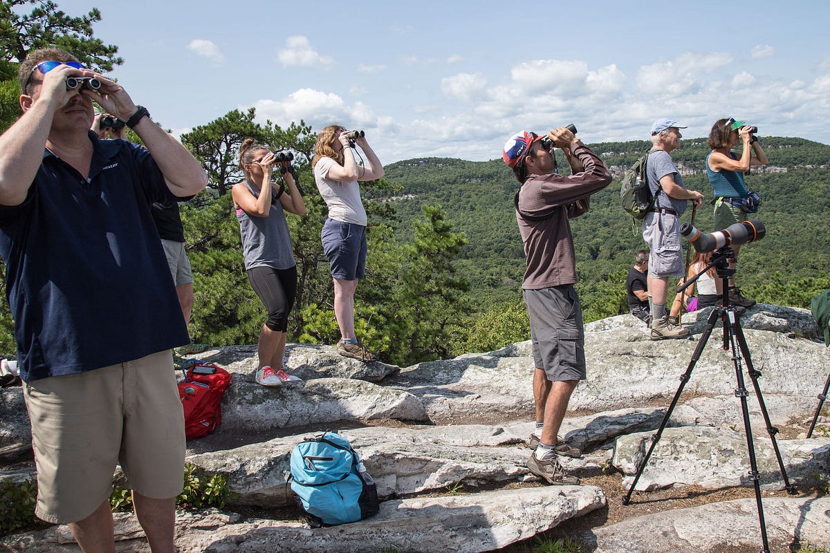Binoculars for Hawk Watching. By Mohonk Preserve Director of… | by ...