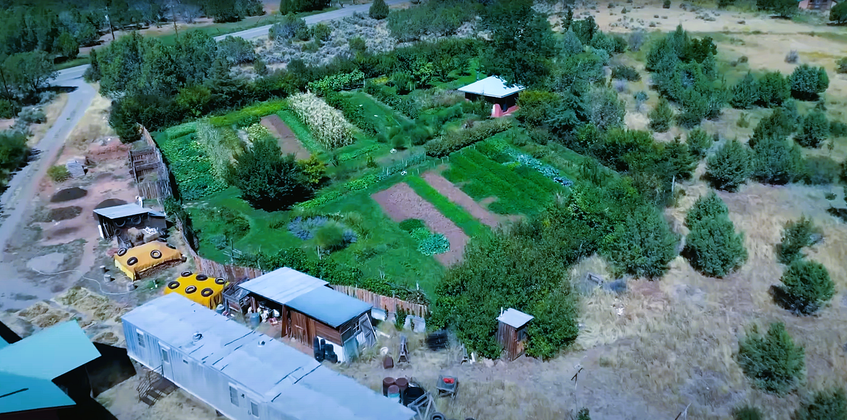 Paradise built. Lifetime of a green thumb and hard… | by Hashan & Snowy | Medium