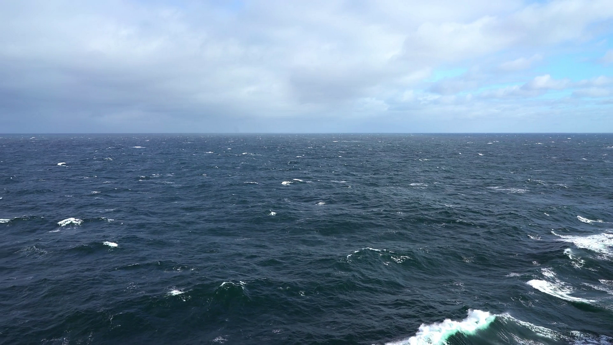 Day 26: What do you see in an open ocean? | by Jules | The Post-Grad Survival Guide | Medium