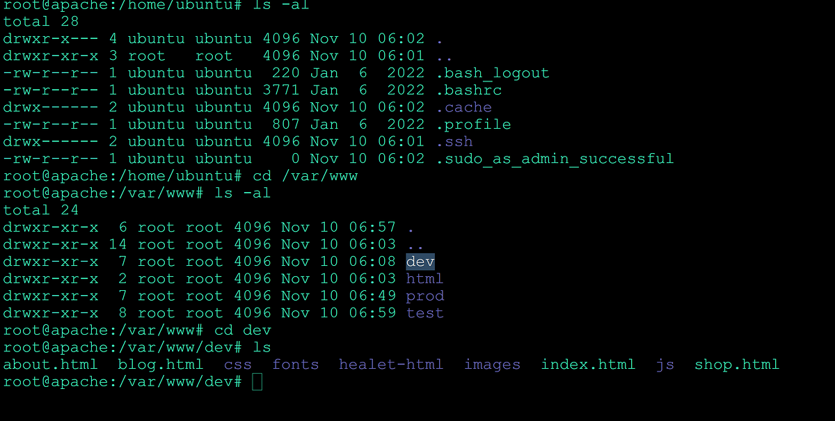 host multiple website on apache webserver with same ip-address. | by Praveen kumar | Nov, 2023 ...