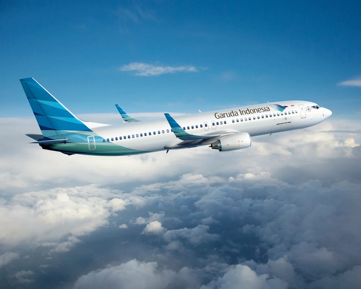 Artificial Intelligence Solutions for Tackling High Domestic Airline ...
