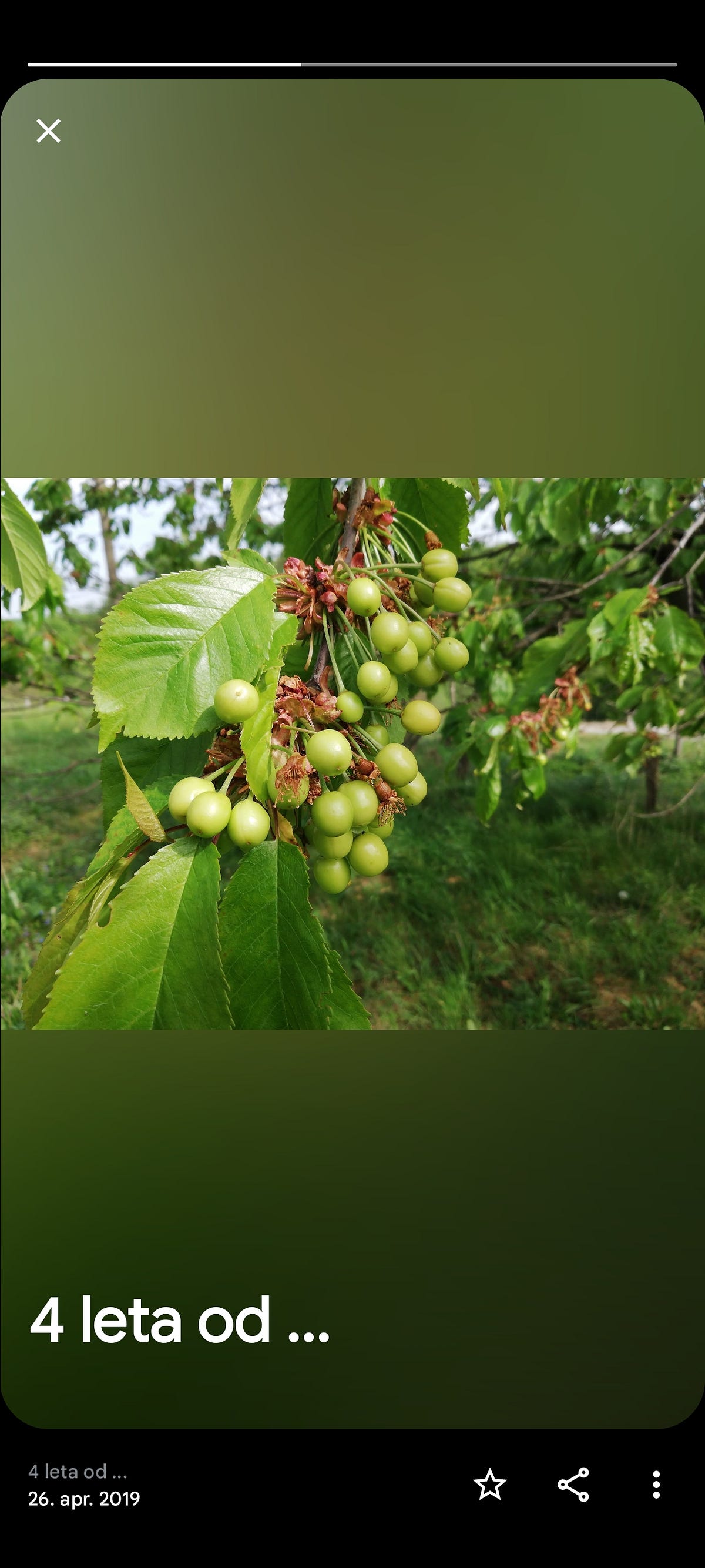 LEP POZDRAV SEM KAZIMIR IZ SLOVENIJE… SEM AKTIVIRAL POVEZAVO IZ GOOGLE ...