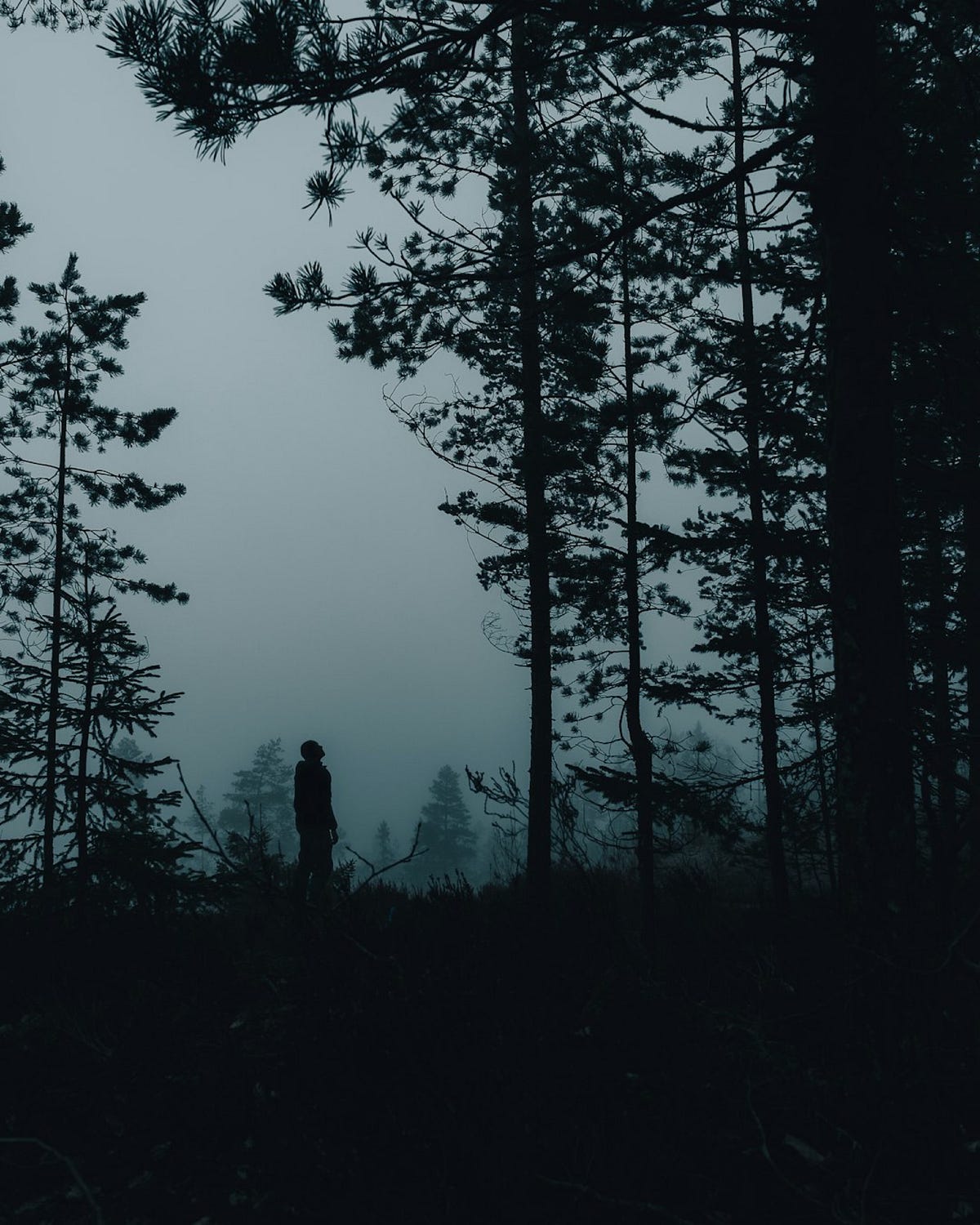 The fear of the question. People may find answers casting a… | by ...