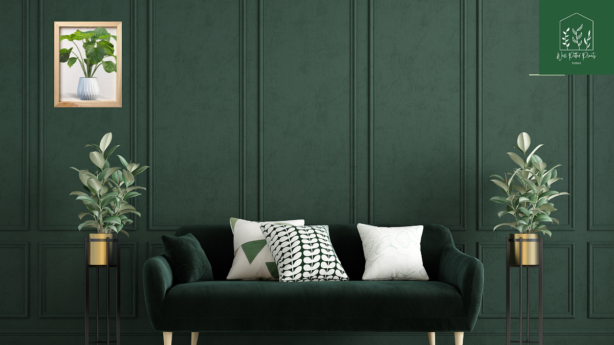 Transform Your Space with Low Light Indoor Plants | Well Potted Plants ...