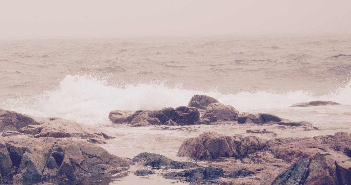 Kin. I was born here I didn’t get to chose I… | by Leanne Clare | Medium
