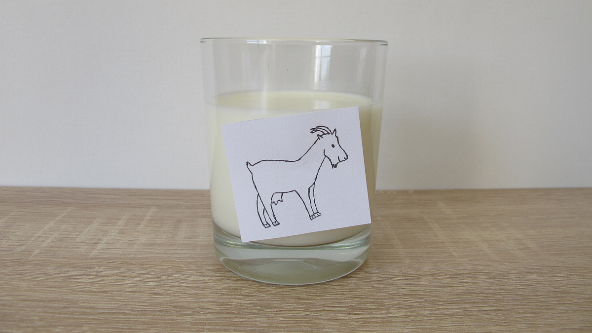 Unlock the Hidden Health Benefits of Goat’s Milk! | by Christopher ...