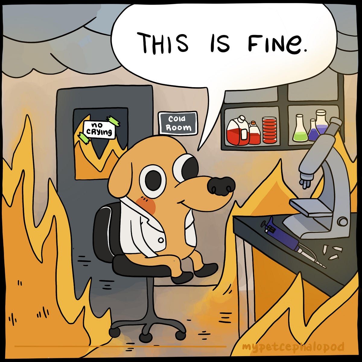 The Five Stages of Grief After Loosing Your Job | by Valentina ...