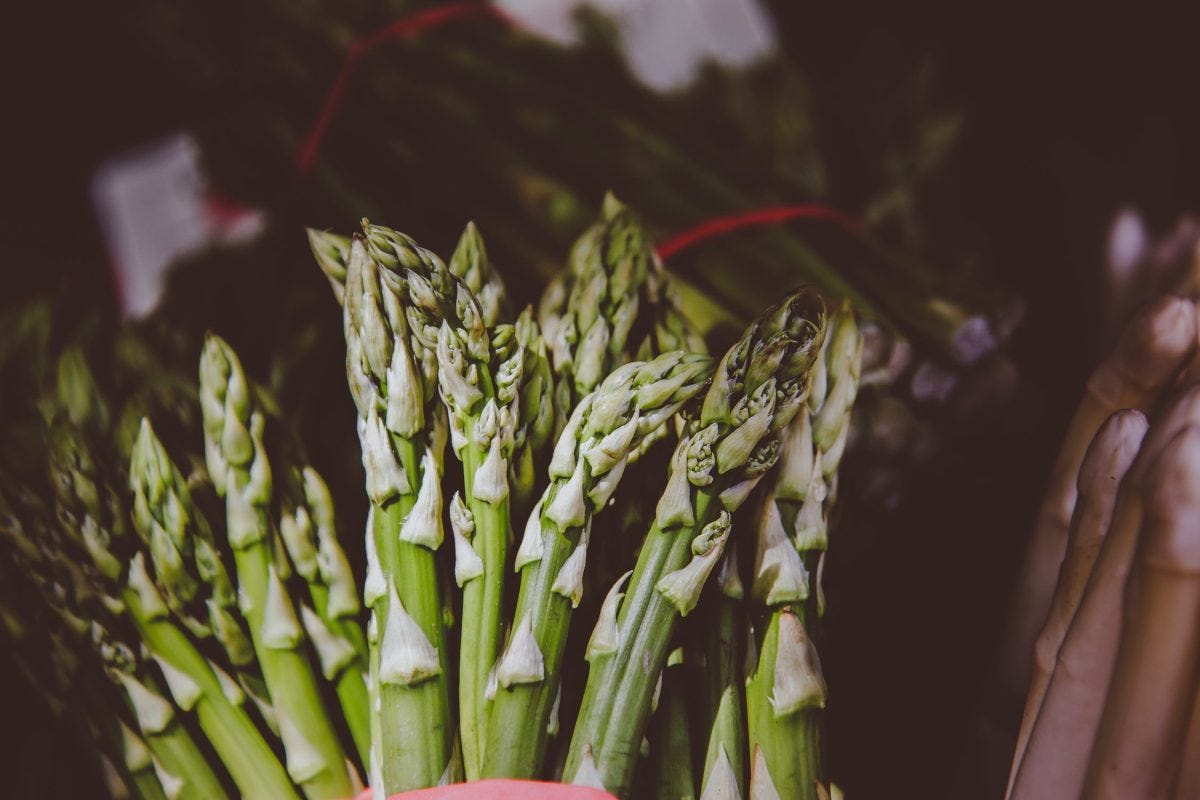 Asparagus, the king of vegetables and how it grows | by Oota Box | Medium