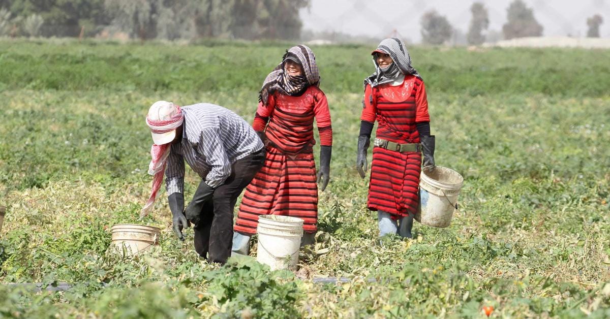 Jordan is a country that relies heavily on its agricultural sector as a ...