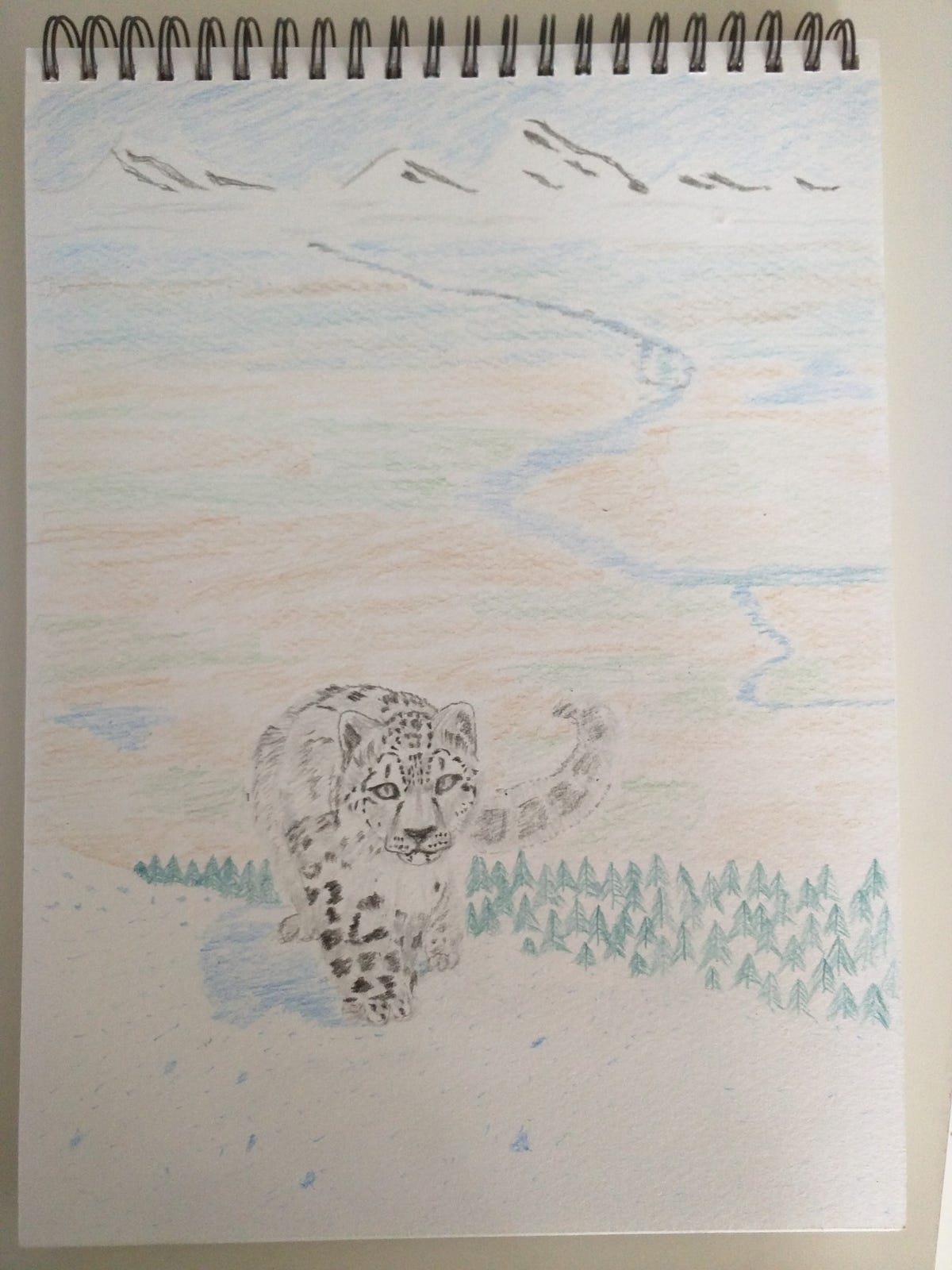 Not illustration per se. | by Haoyang Xu | Medium