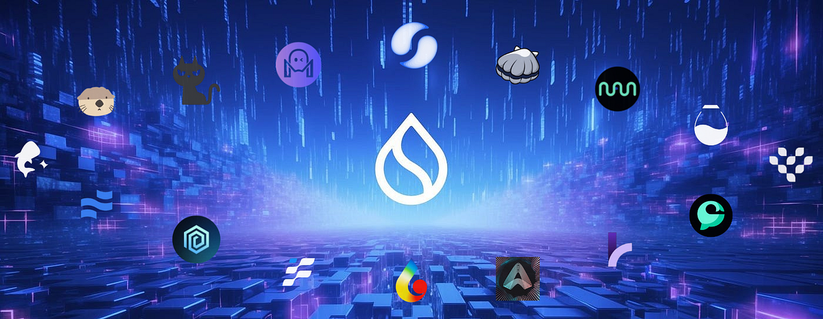The Complete Guide to DeFi on Sui | by Thouny | Medium