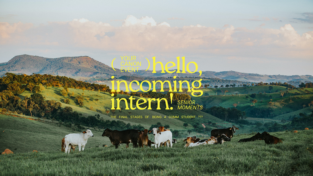Your canon event: Hello, incoming intern! | by Khryss Noelle Arellano ...