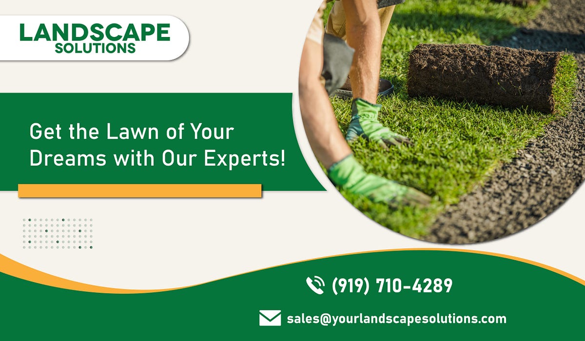 Get Your Yard Lush with Our Lawn Maintenance Company! - Landscape ...