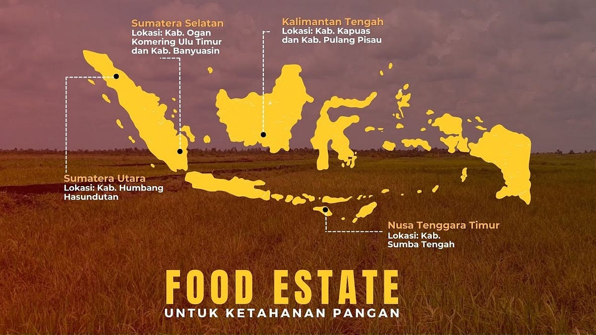 Menakar Kebijakan Food Estate di Kawasan Gambut demi Mendukung Masa ...
