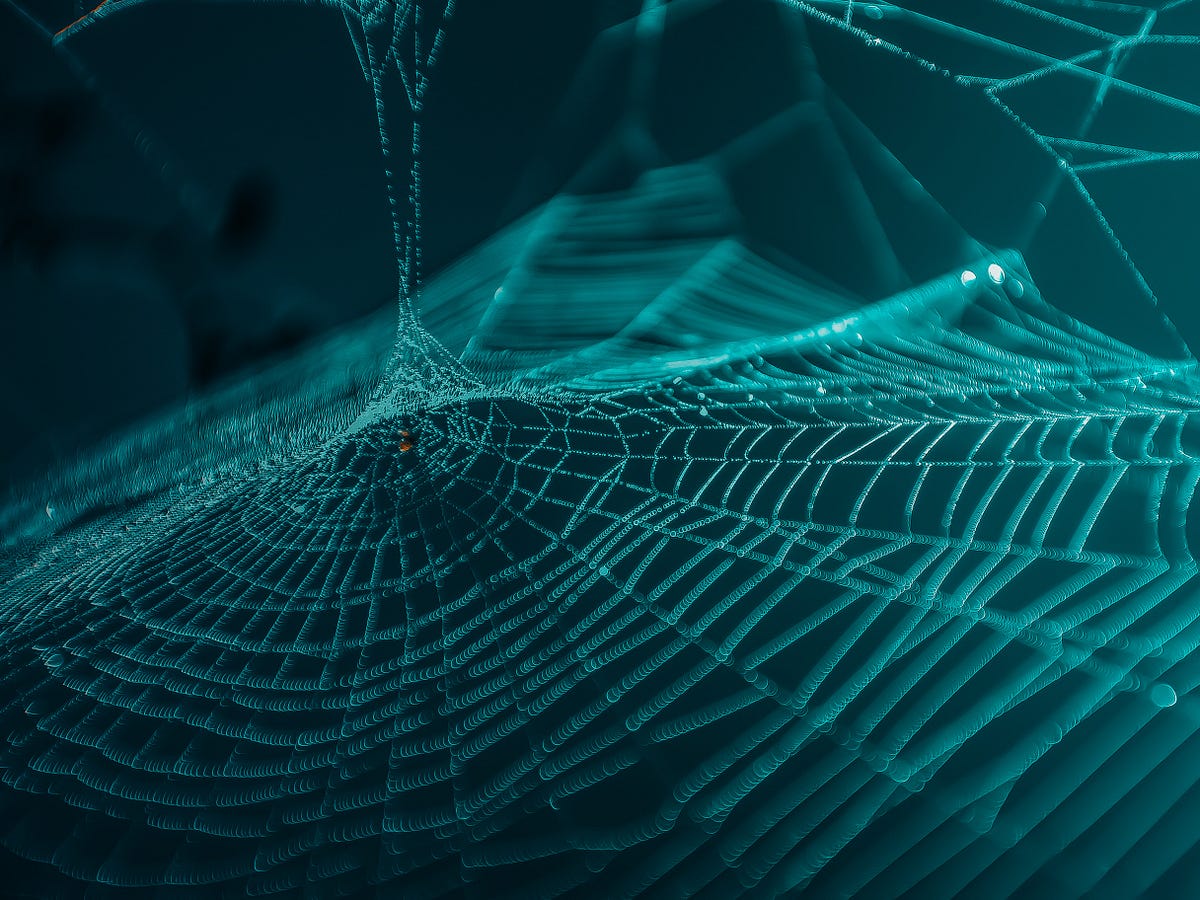 Quick And Easy Data Visualization For Ruby On Rails By Kiri Um Medium
