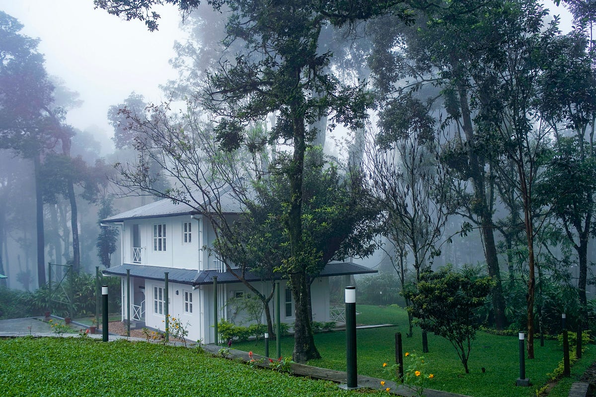 Romantic Retreats: Best Honeymoon Resorts in Munnar | by IPCS GLOBAL | Jul, 2024 | Medium
