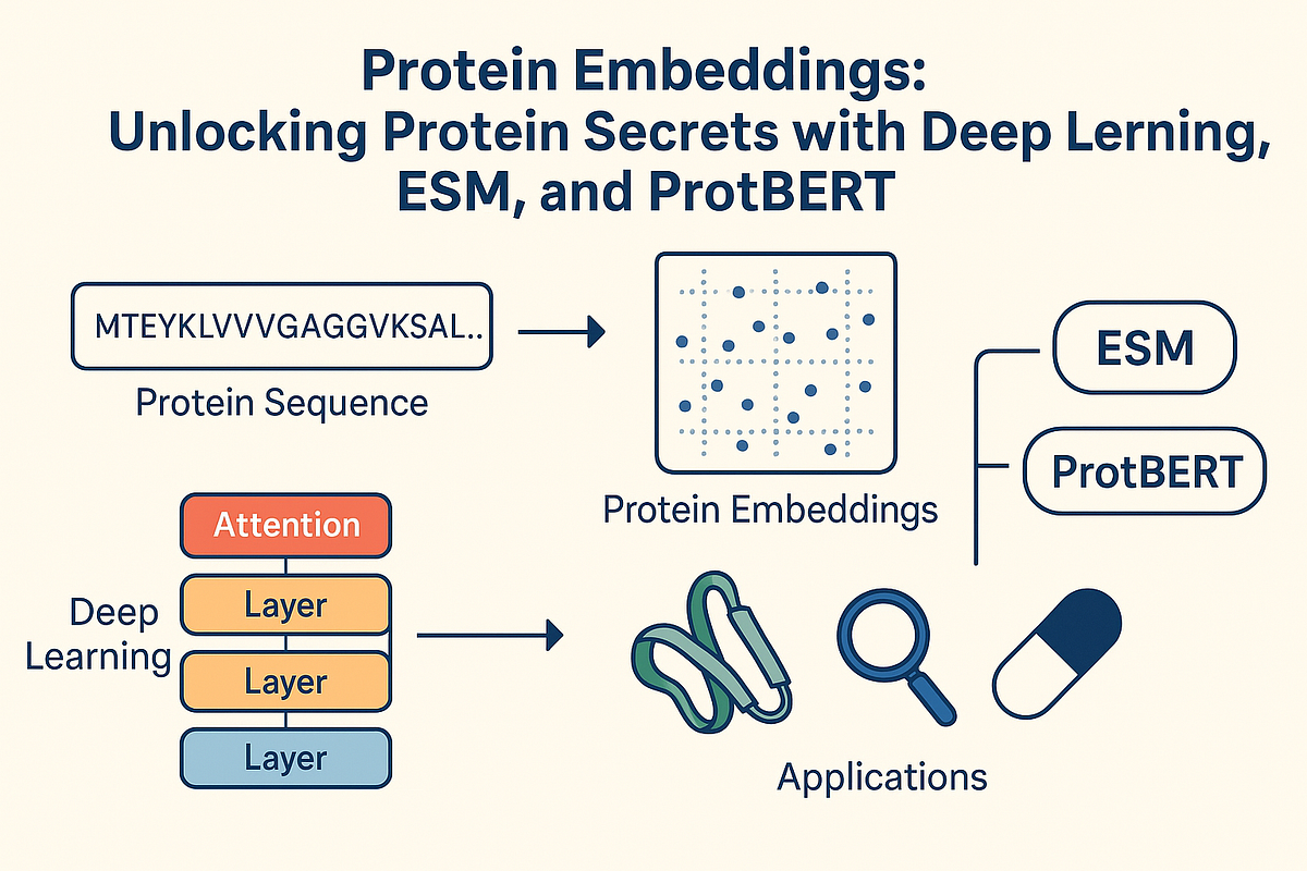 Protein Embeddings: Unlocking Protein Secrets with Deep Learning; ESM, and ProteinBERT | by ...