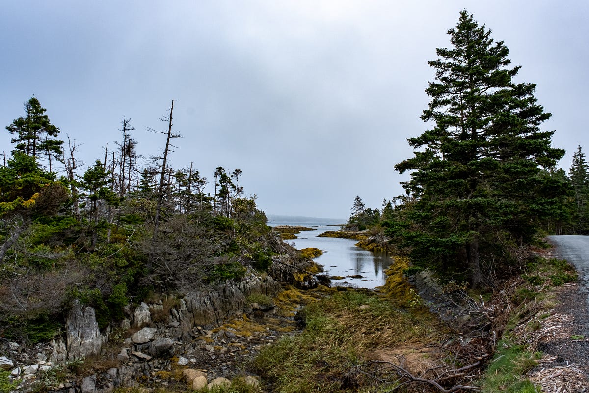 New prints. As of today, we have 41 of my photos… | by Tim Bindner | Medium