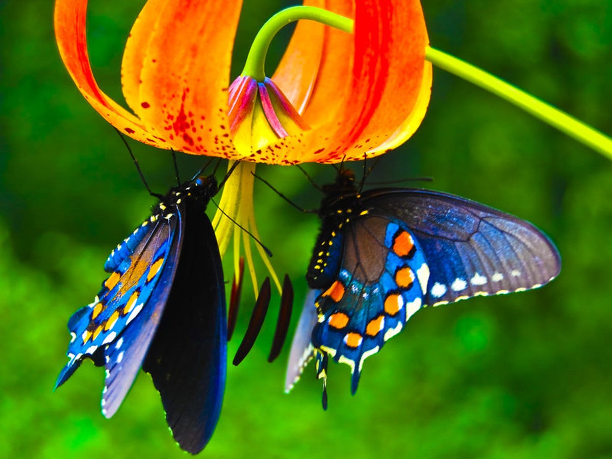 Where Words Can Sprout Wings: My Journey as a Content Writer Intern at ...