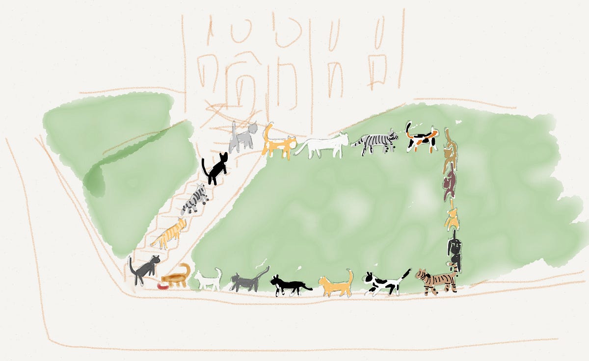 Cat Parade - Ellen McCormick Martens - Medium