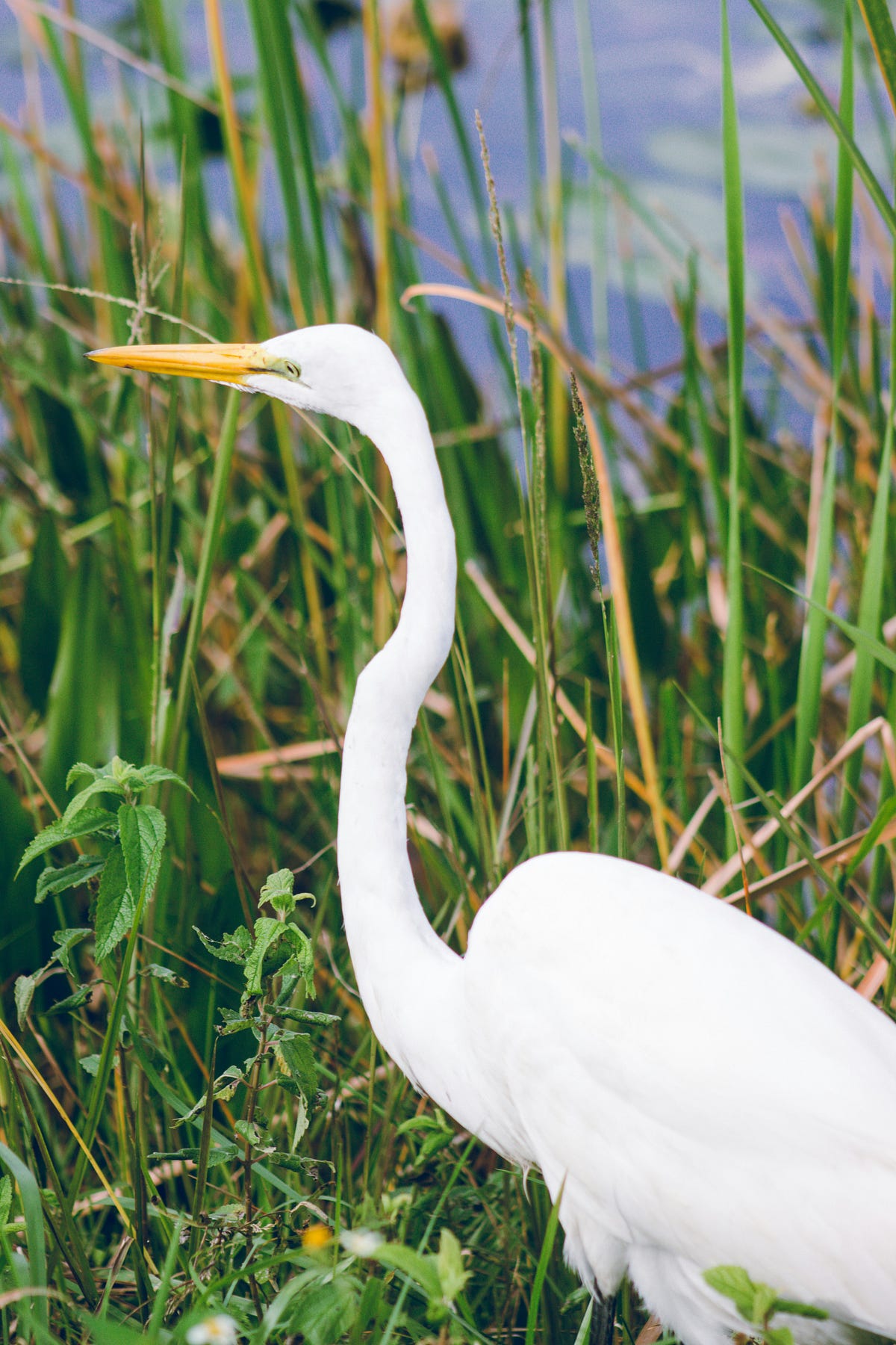 Adventure, Migraines, and Mind-Stretching | by Diane Barth | Crow’s ...