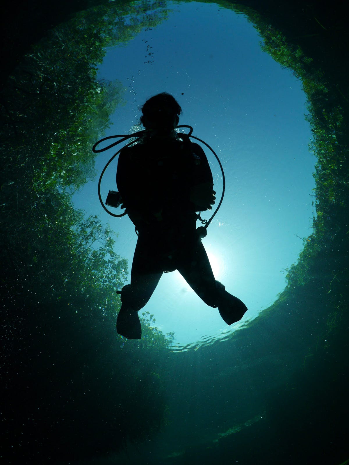 Scuba Tulum | Godivemexico.com - Go dive mexico - Medium