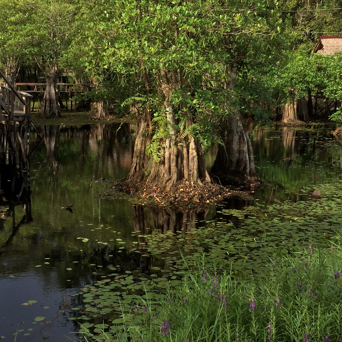 who am I without nostalgia | by ohiobio | May, 2025 | Medium