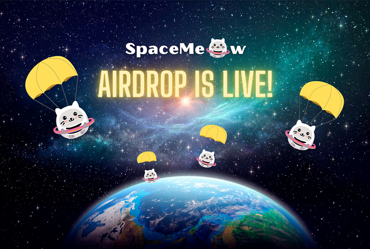 SpaceMeow — Purrfect Meme Token. A meme token inspired by the… | by ...